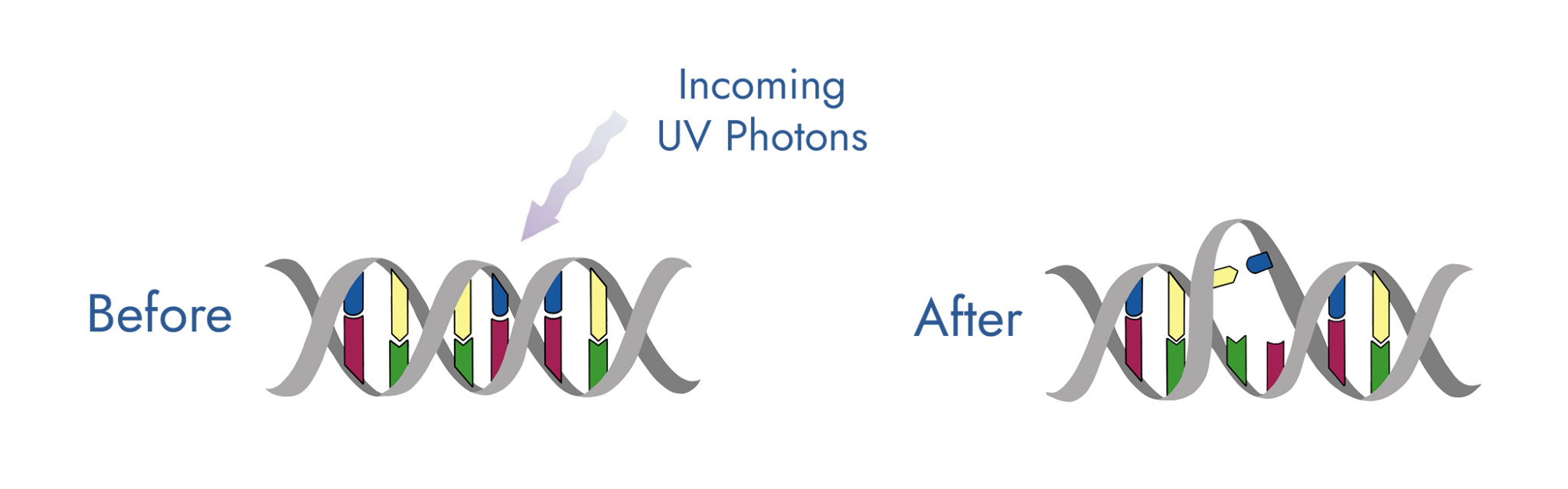 UV-C LED Disinfection Technology: Updated 2022 | AquiSense Inc.